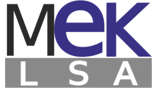 MeK-LSA: Experimentelle Kompetenz messen II – Institut für Didaktik der ...